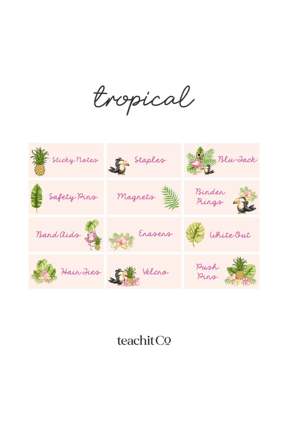 Teacher Toolbox Labels Tropical - Teachit Co