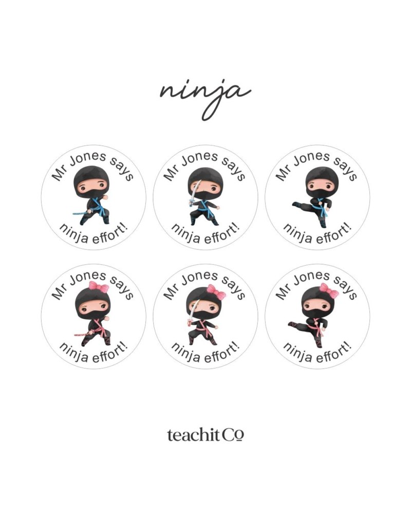 Merit Stickers Ninja - teachit Co