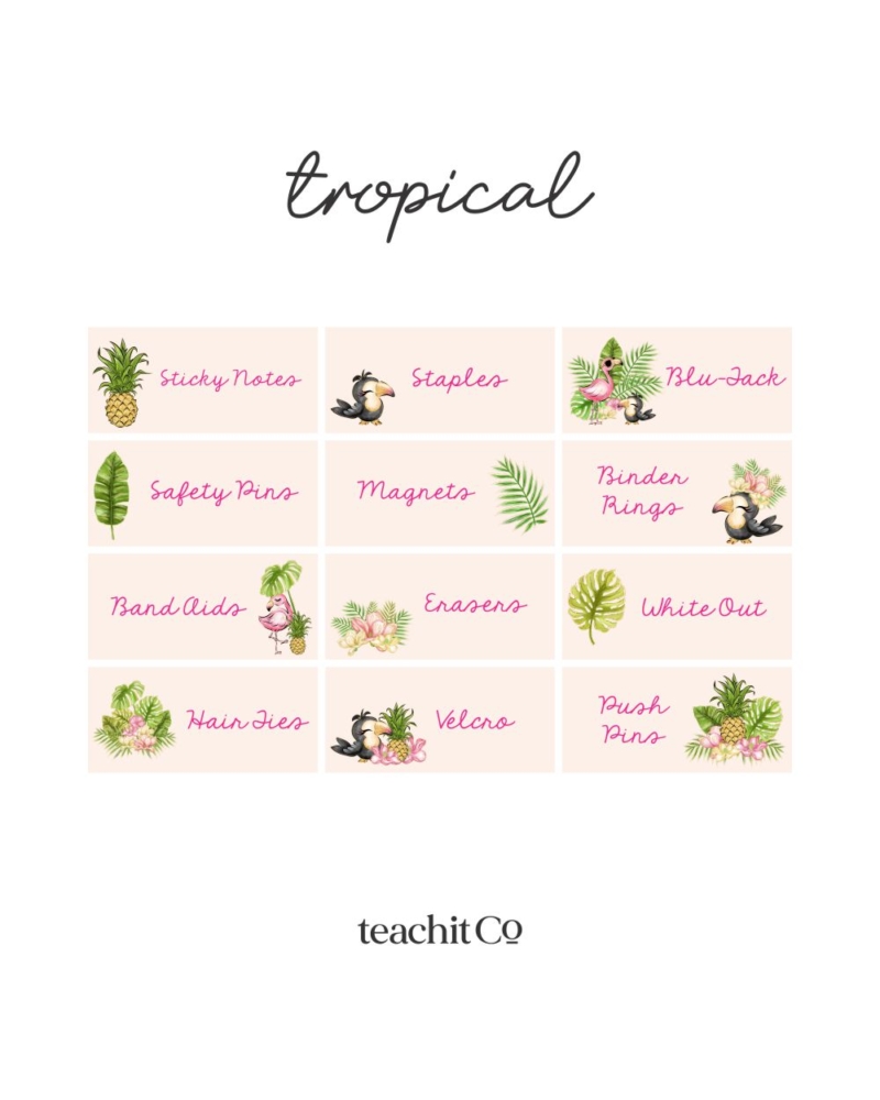 Teacher Toolbox Labels Tropical - teachit Co